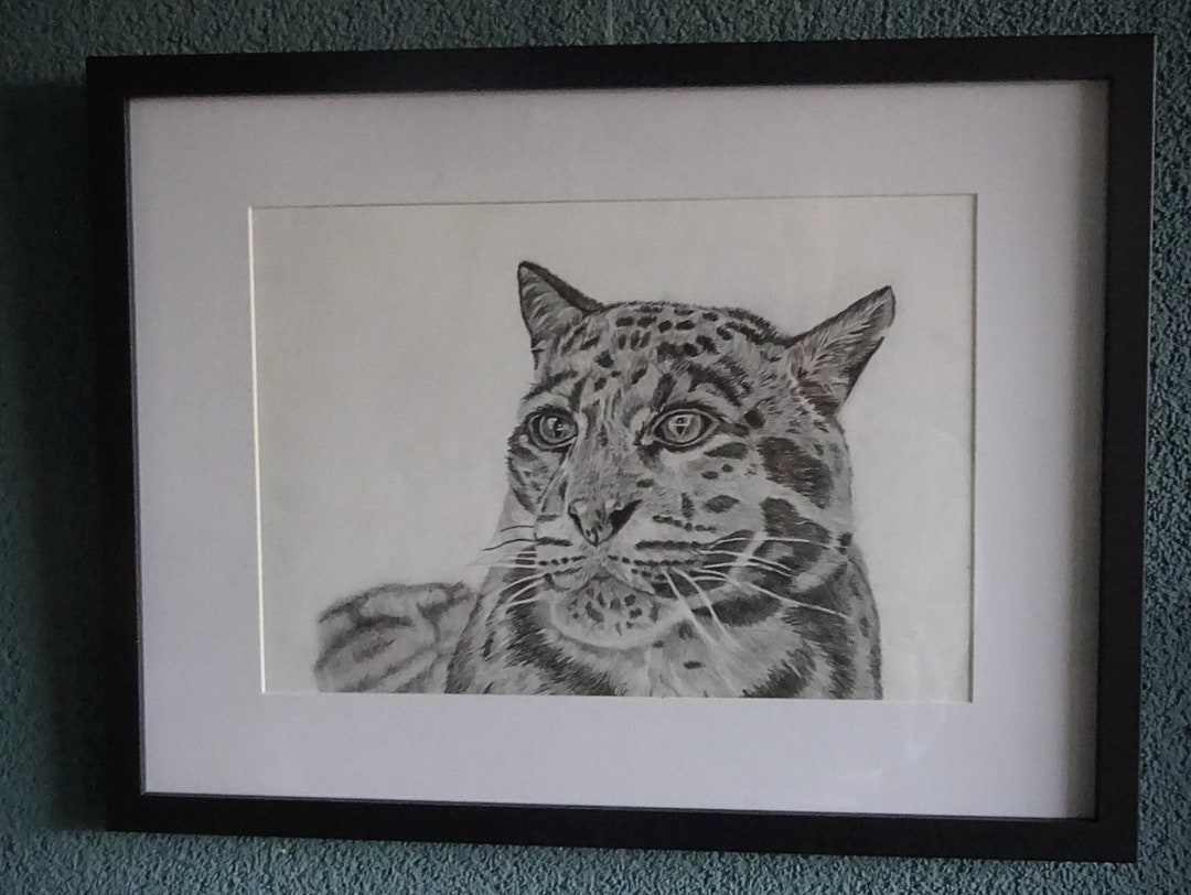 Clouded Leopard Art Print | Digital Copy of Original | Realistic ...