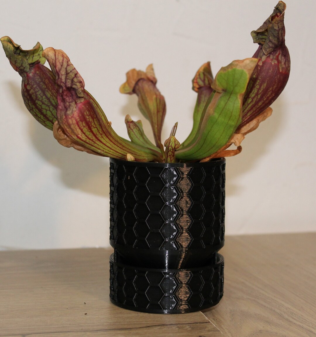 Futuristic Plant Pot Digital File - Etsy
