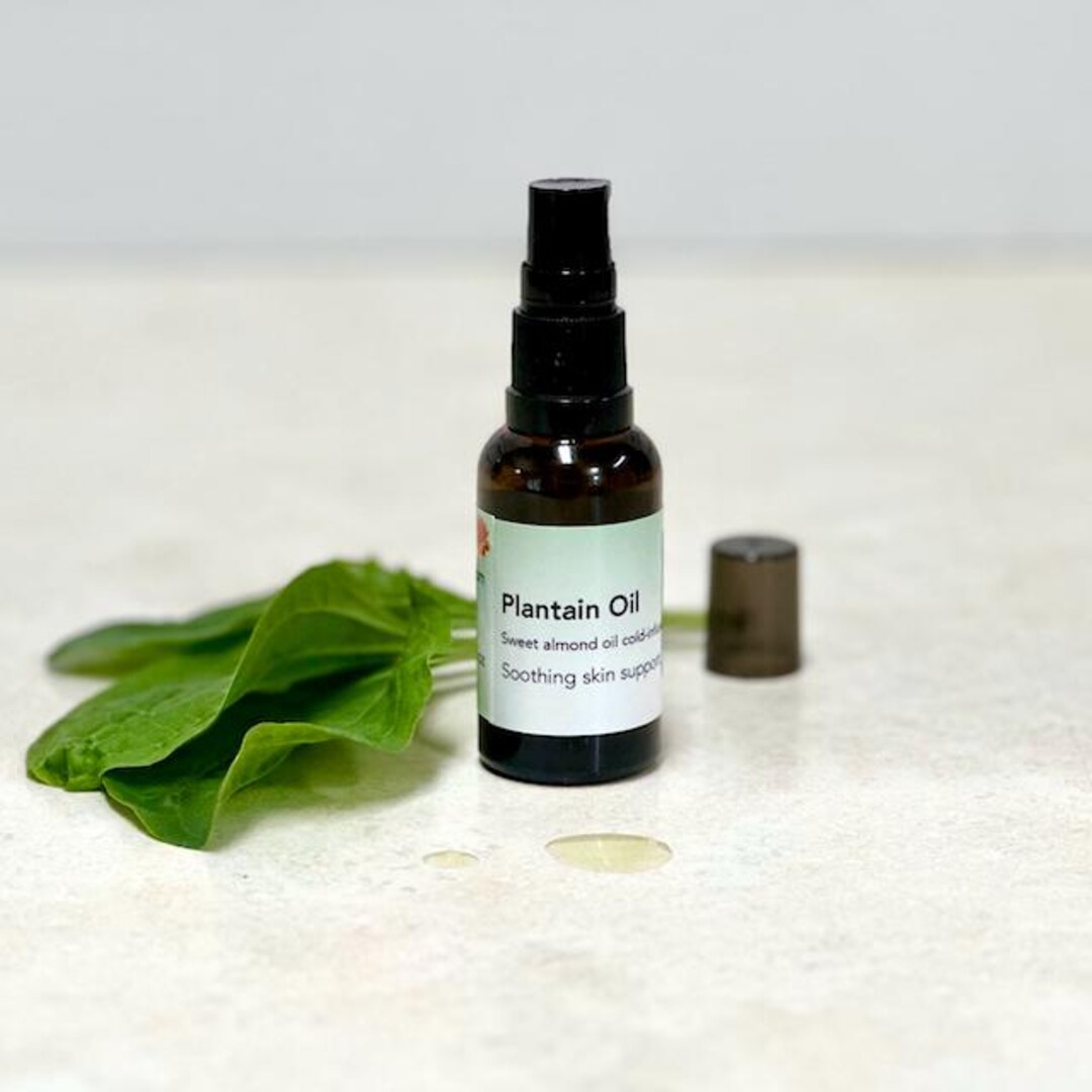 Soothing Plantain Oil - Cold Infused With Sweet Almond Oil - Etsy