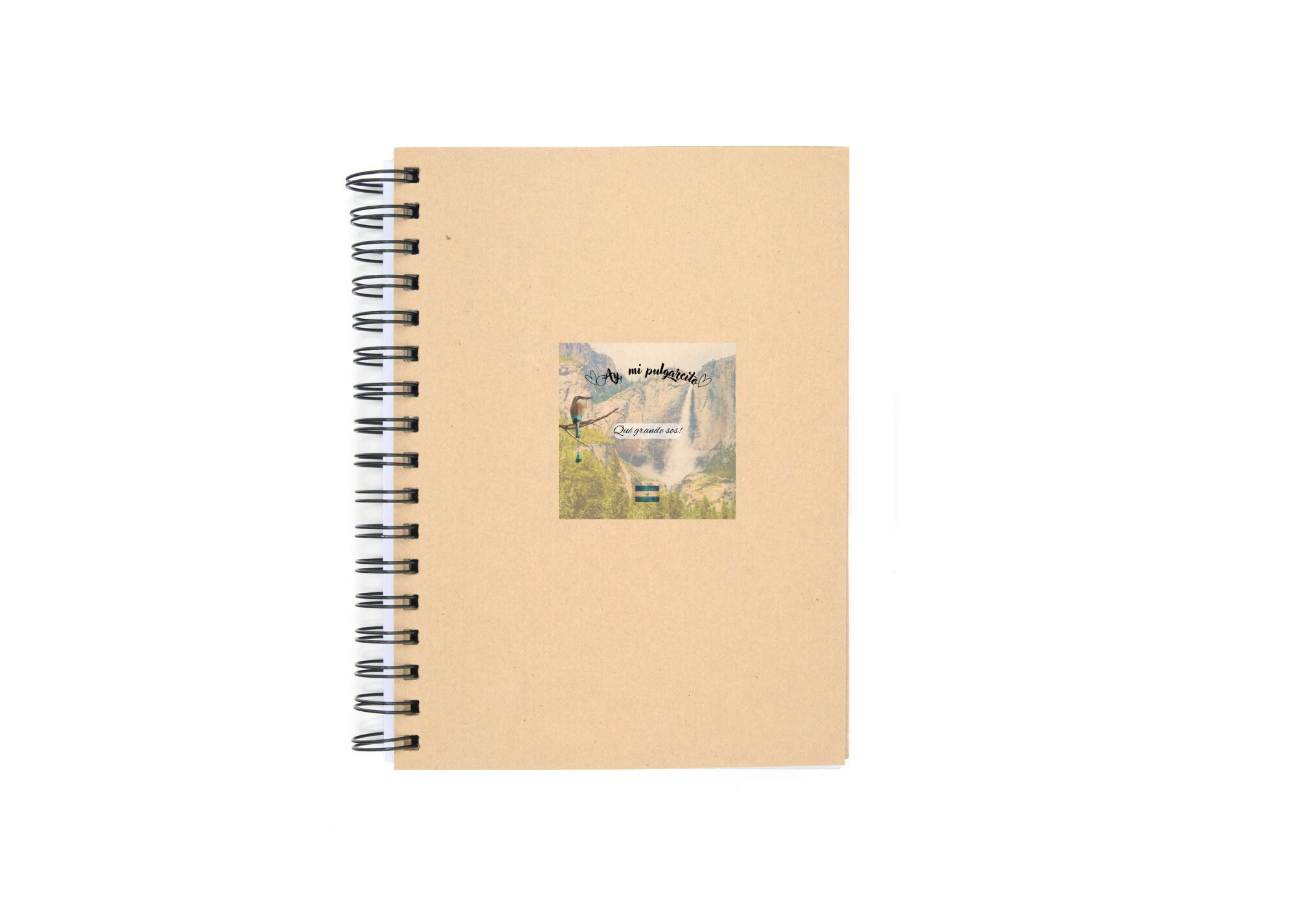 El Salvador Stickers, Torogoz, Bandera De El Salvador, Imagen De El ...