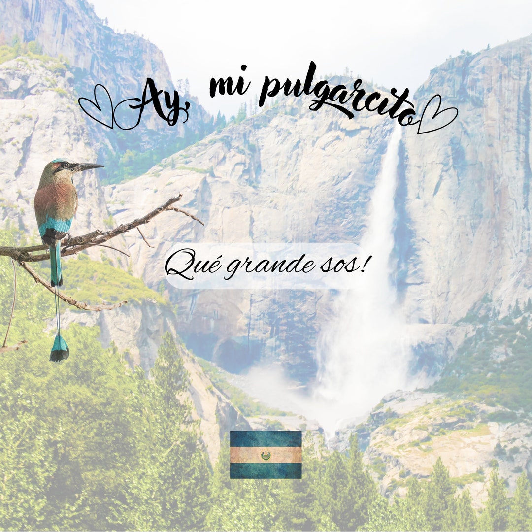 El Salvador Stickers, Torogoz, Bandera De El Salvador, Imagen De El ...