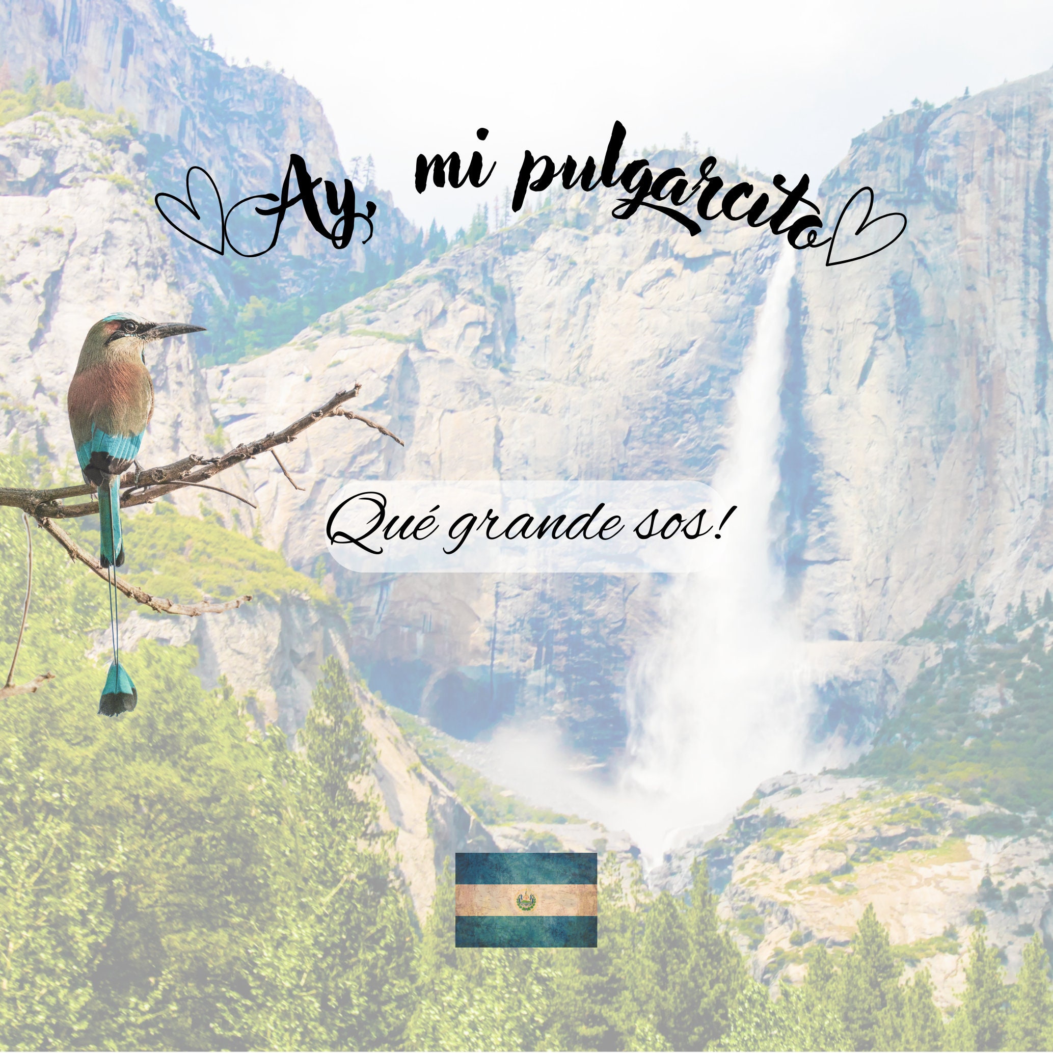 El Salvador Stickers, Torogoz, Bandera De El Salvador, Imagen De El ...