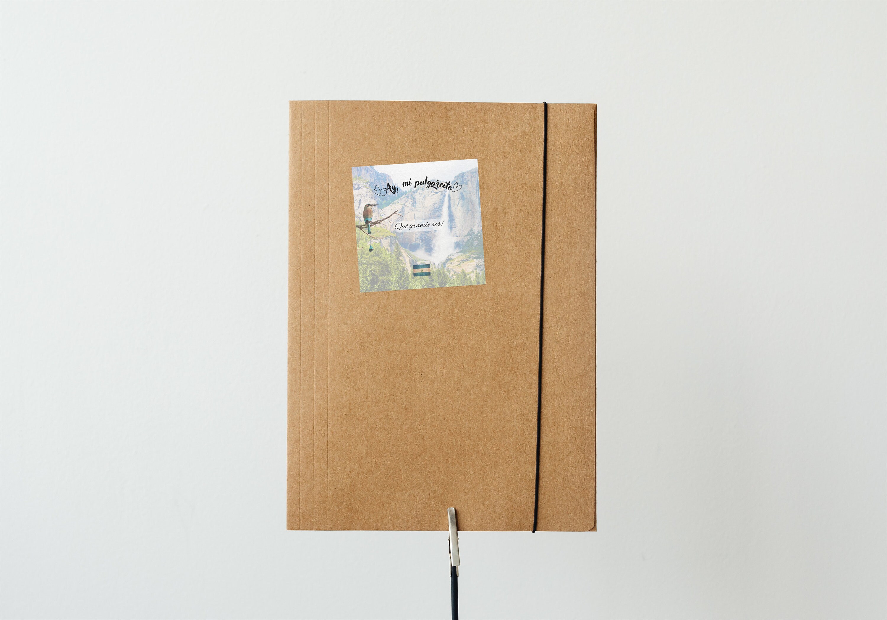 El Salvador Stickers, Torogoz, Bandera De El Salvador, Imagen De El ...