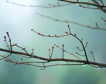 Spring Rain Art Print Watercolor Painting Nursery Decor - Etsy