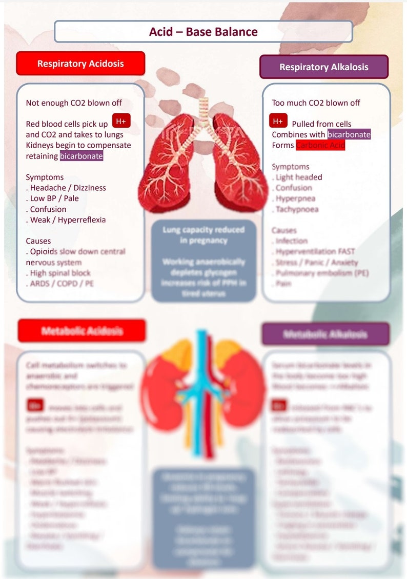 Acid Base Balance for Student Midwives - Etsy