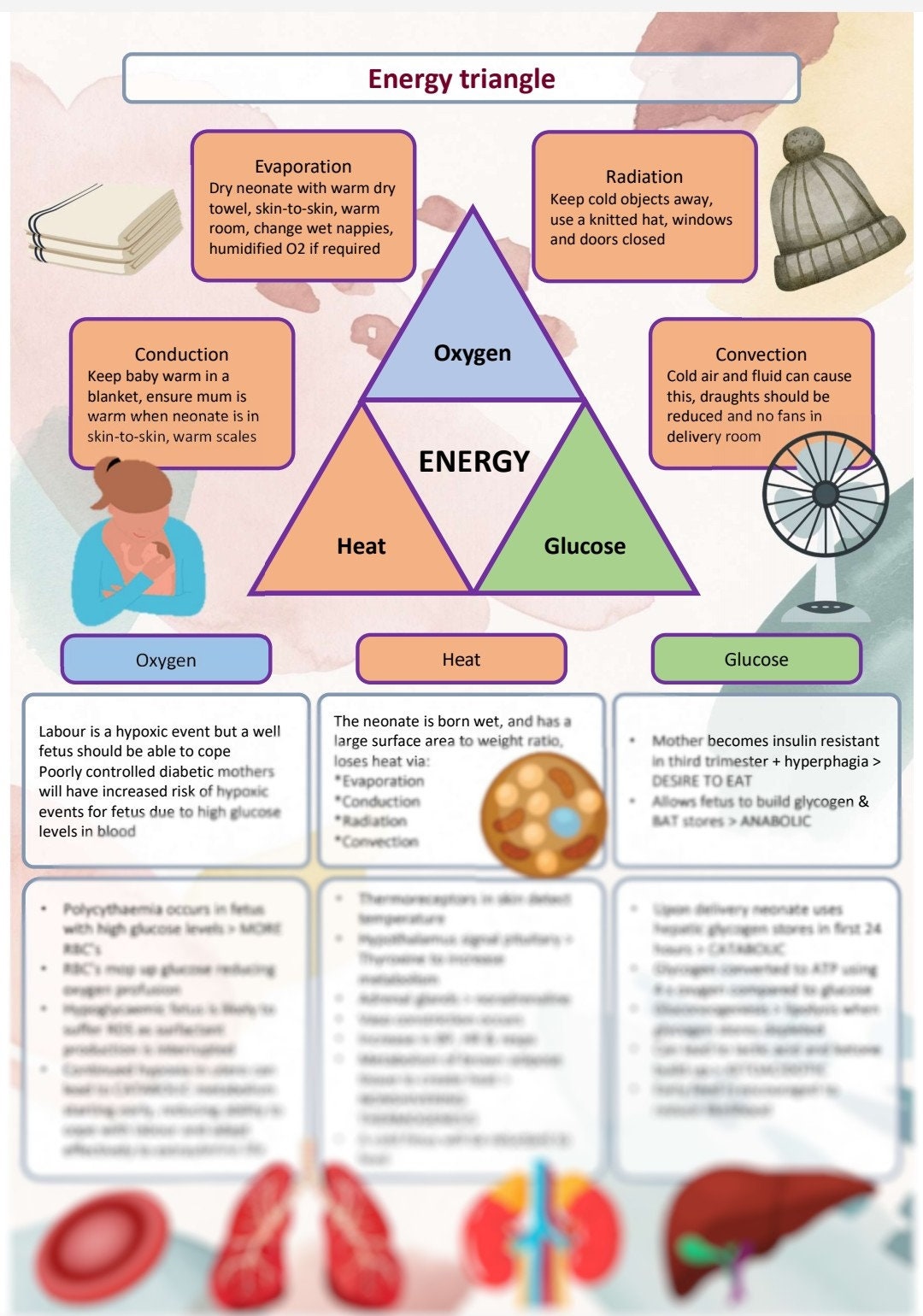 Energy Triangle for Student Midwives - Etsy