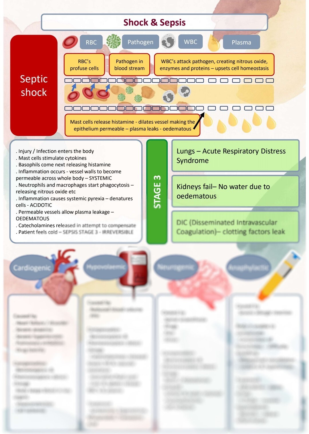 Shock and Sepsis for Student Midwives - Etsy