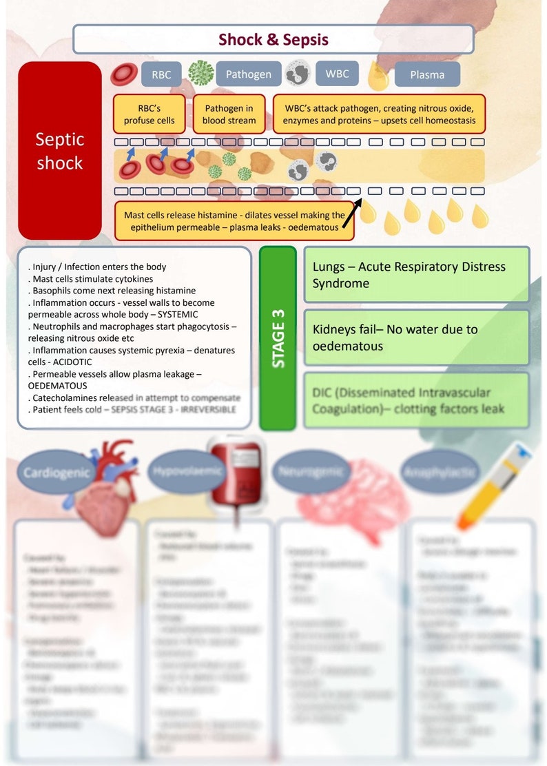 Shock and Sepsis for Student Midwives - Etsy