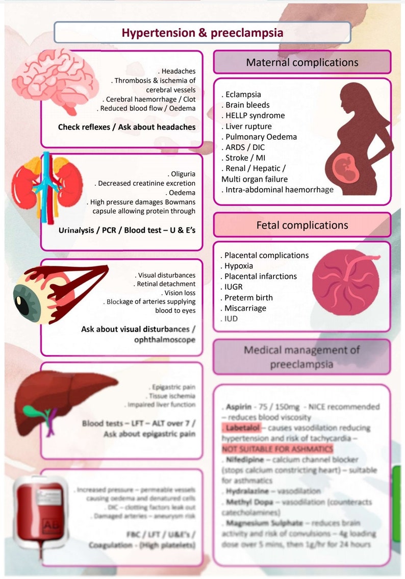 Hypertension and Preeclampsia for Student Midwives - Etsy
