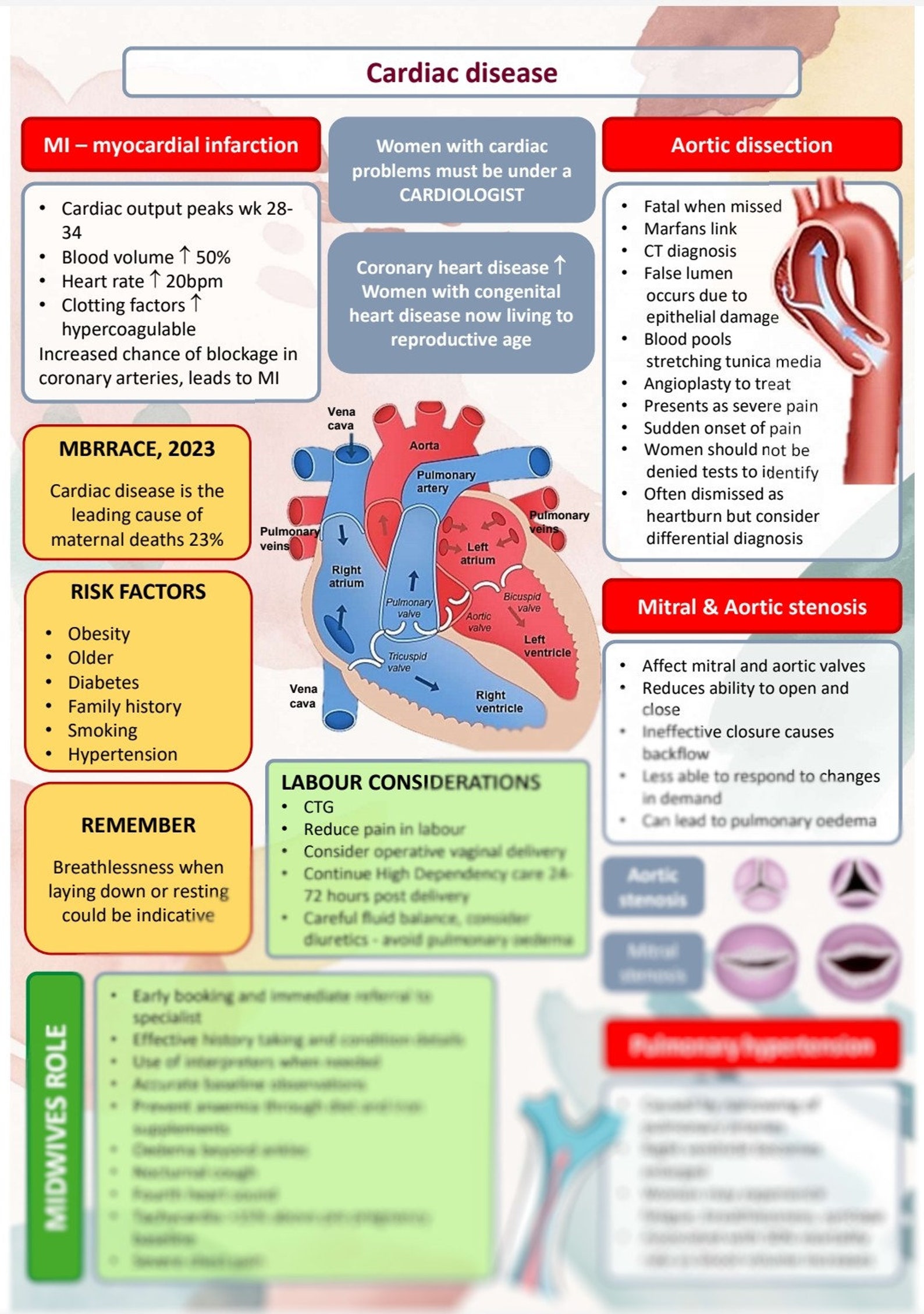 SECOND YEAR - Full Pack of 17 Study Sheets for SECOND Year Midwifery ...