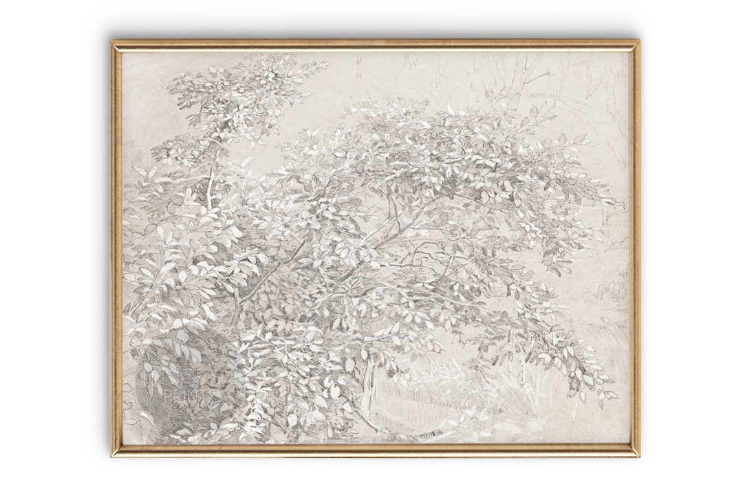 Vintage Landscape Sketch Tree Leaves Branches | Black and White Print ...