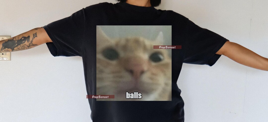 T-shirt - Balls Cat - Cursed Cat Meme T-shirt - Hilarious Shitpost ...