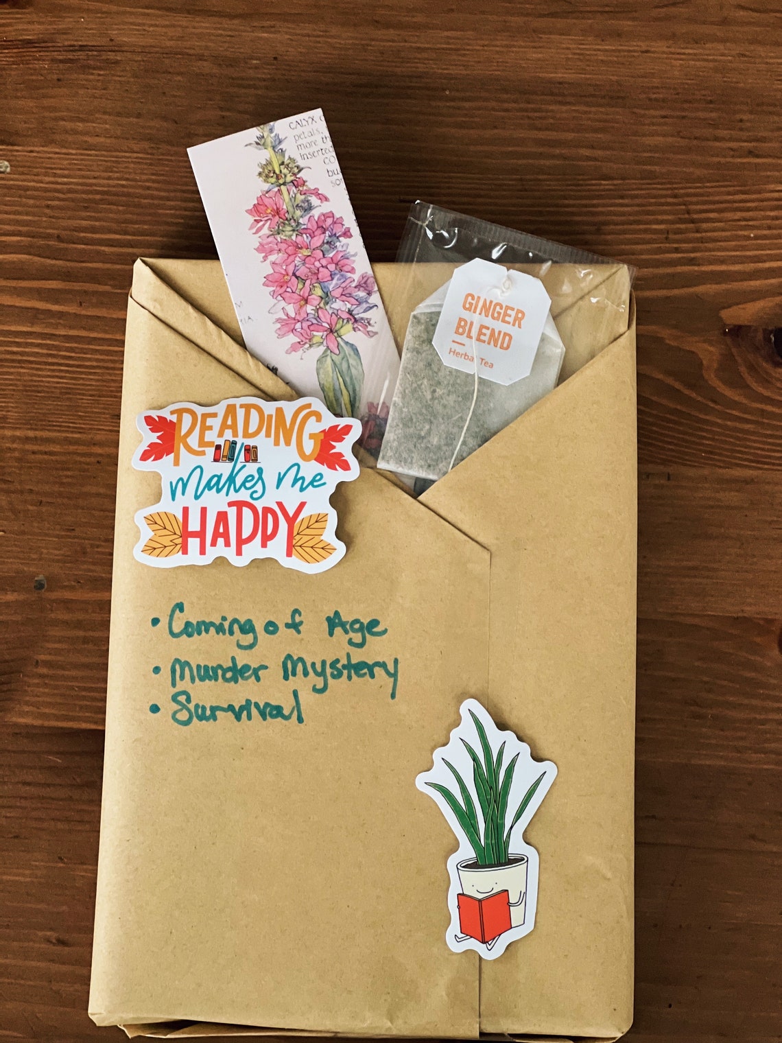 Blind Date With a Bookmystery Book Packagebook Loverbook Giftromance ...