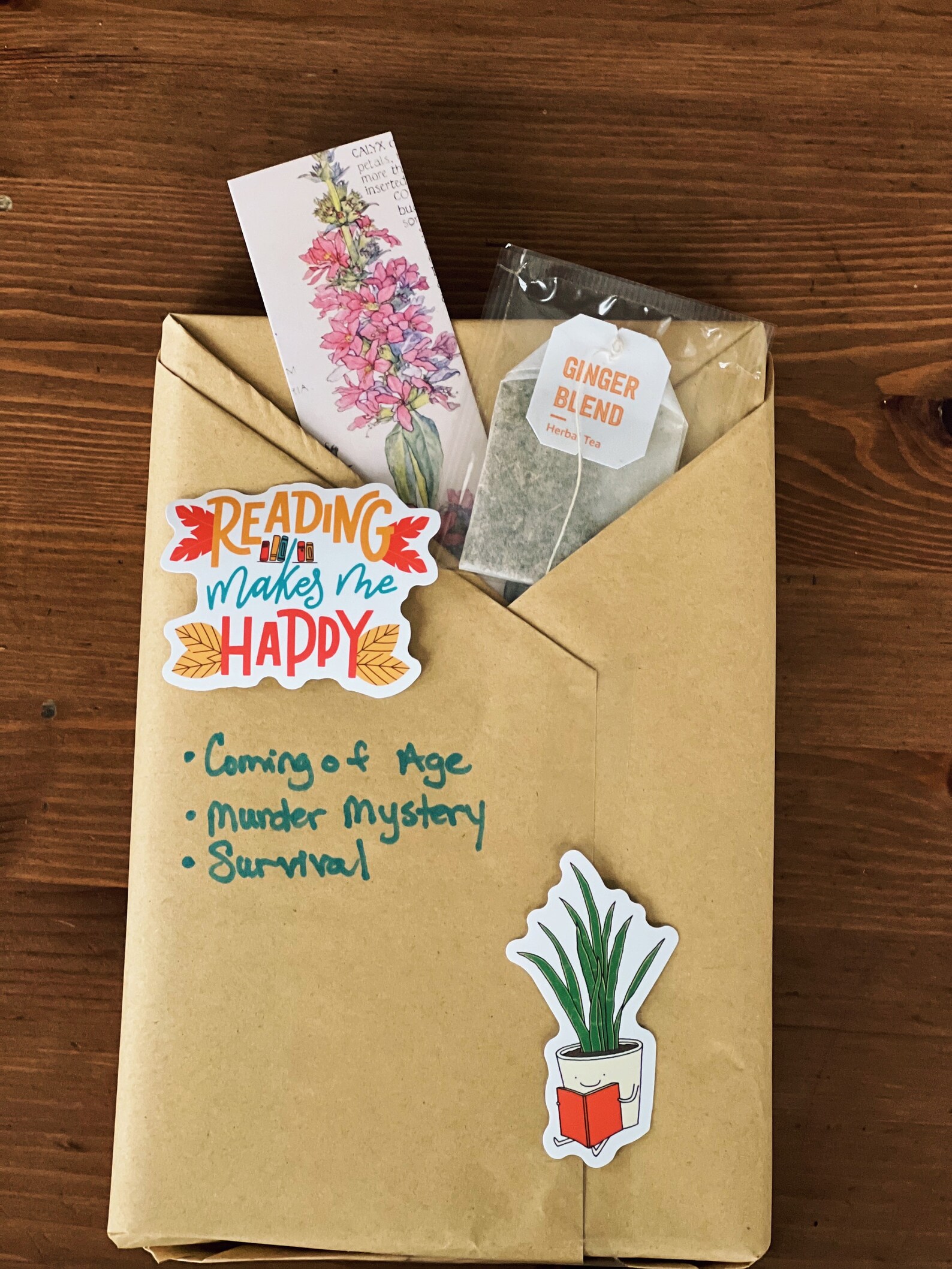 Blind Date With a Book|mystery Book Package|book Lover|book Gift ...
