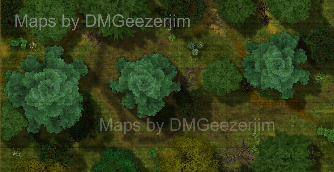 RPG, D&D, TTRPG Battle Map, Forest, Trees, Temperate Battle Map. Forest ...