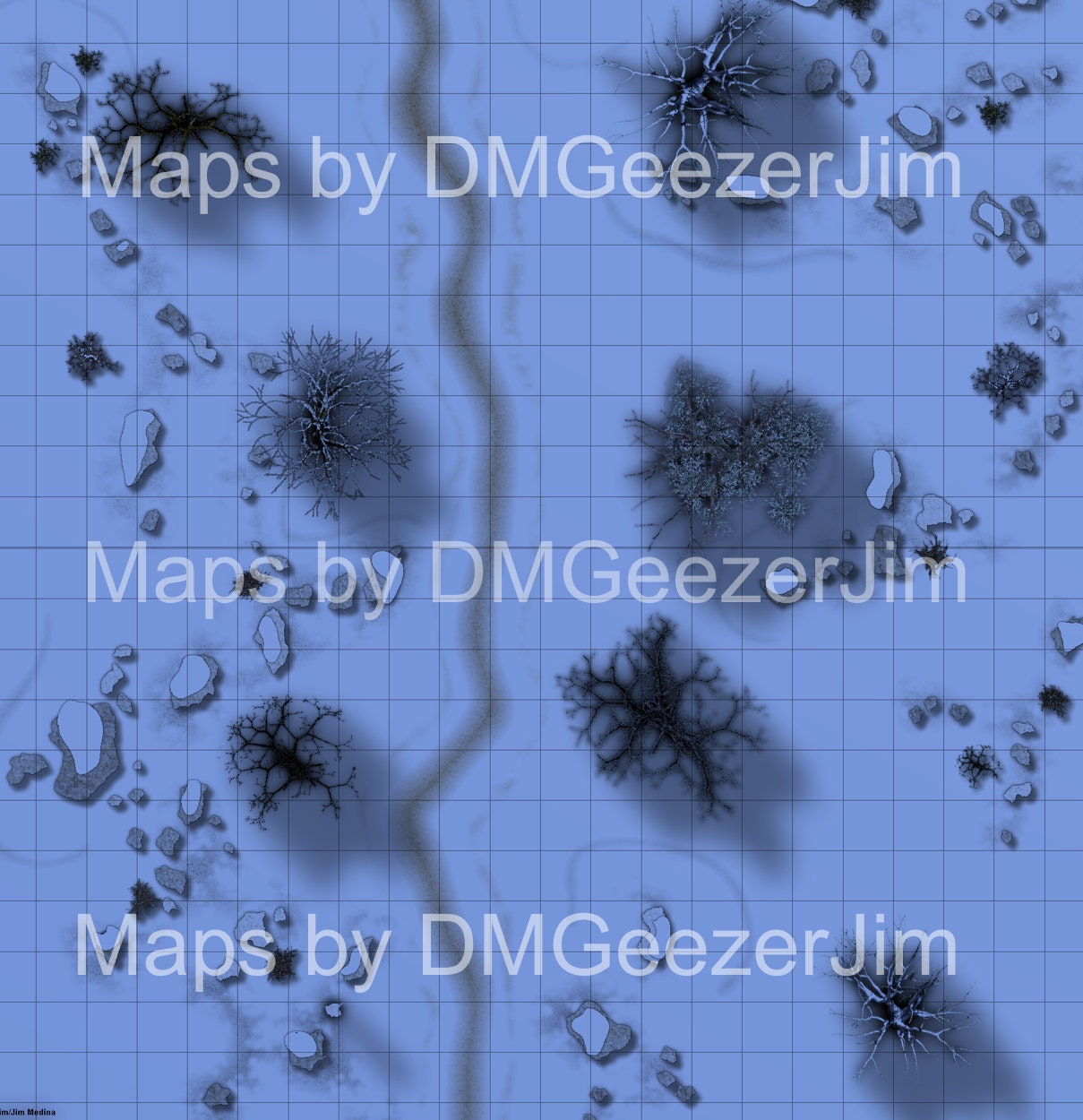 D&D Battle Map, Snow Map, Snowy Woods Map, Day and Night Version, VTT ...