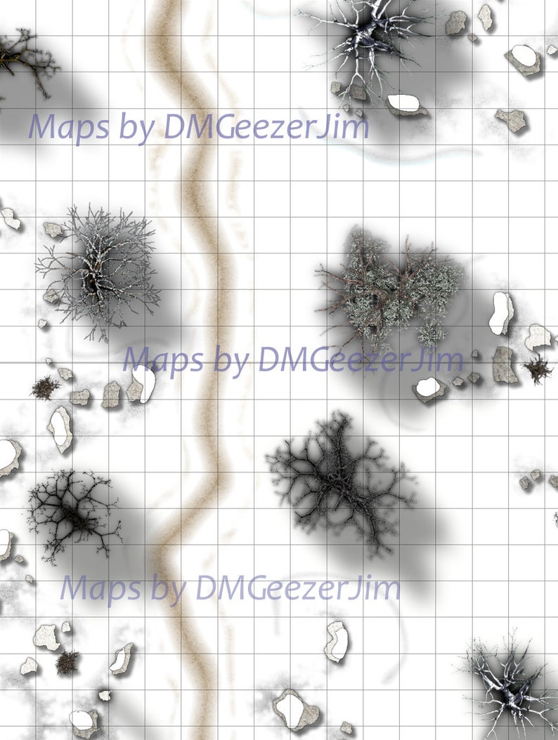 D&D Battle Map, Snow Map, Snowy Woods Map, Day and Night Version, VTT ...