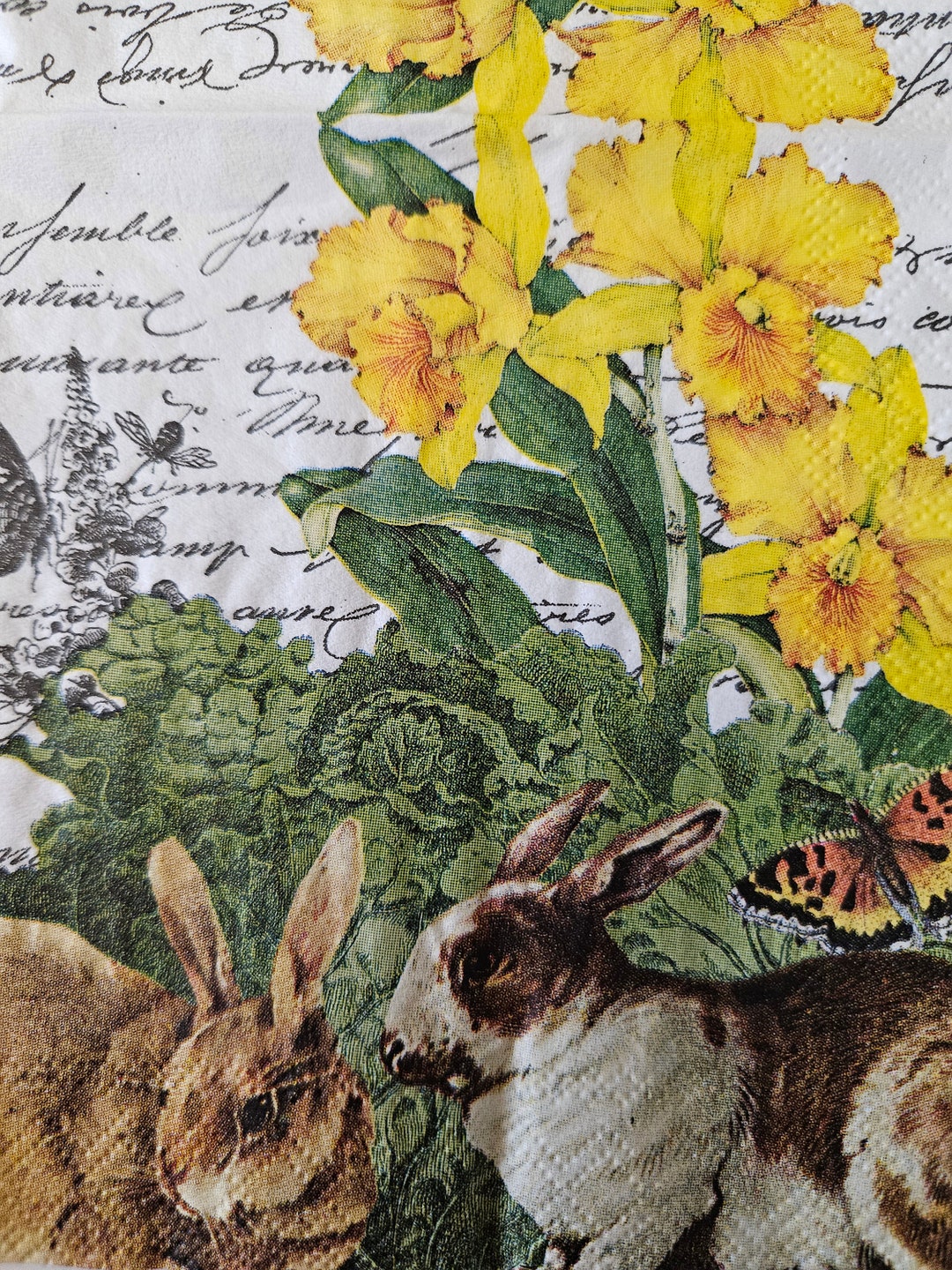 Hare Cabbage COCKTAIL SIZE Napkin - Set of (2) Individual Napkins - for ...