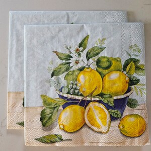 Lemon in Bowl DECOUPAGE Napkin - Set of 2 Individual Napkins - COCKTAIL ...