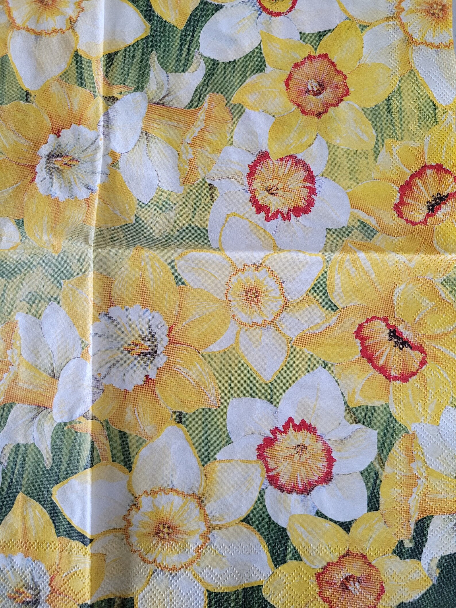 Daffodil Field DECOUPAGE Napkin Set of 2 Individual Napkins - Etsy