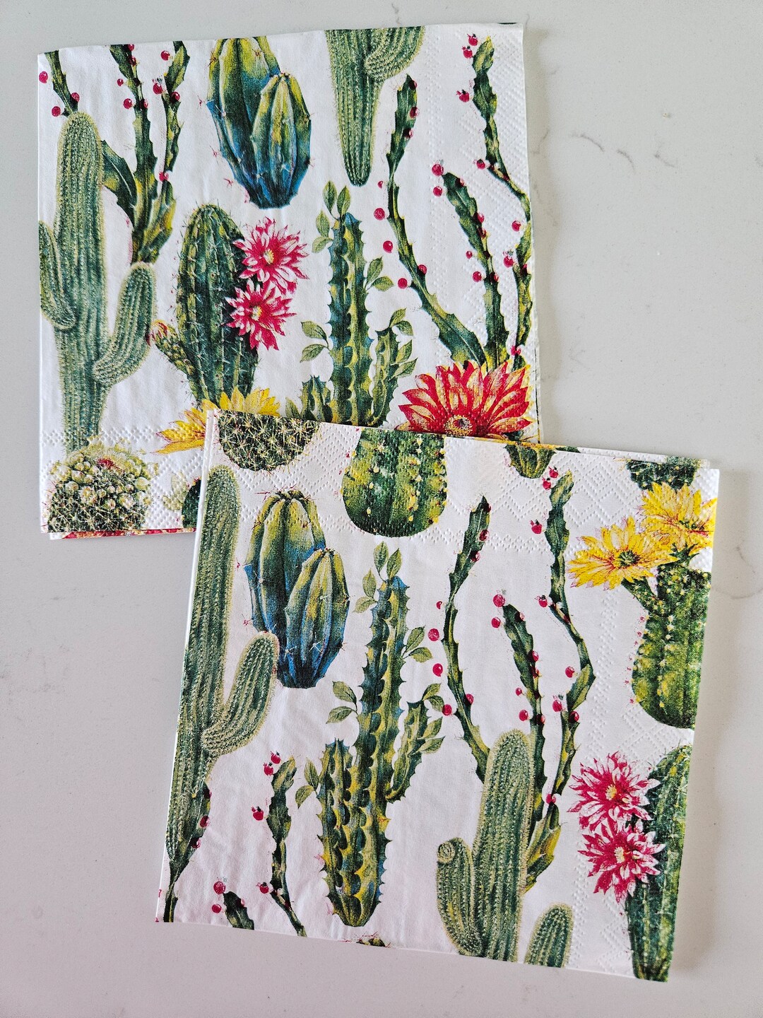 Cactus Garden DECOUPAGE Napkin Set of 2 Individual Napkins COCKTAIL ...