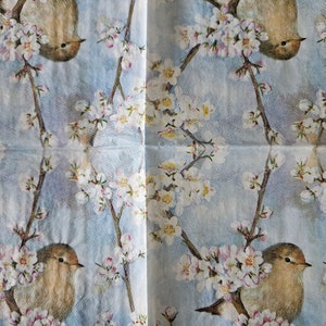 Bird Harmony DECOUPAGE Napkin - Set of 2 Individual Napkins - COCKTAIL ...