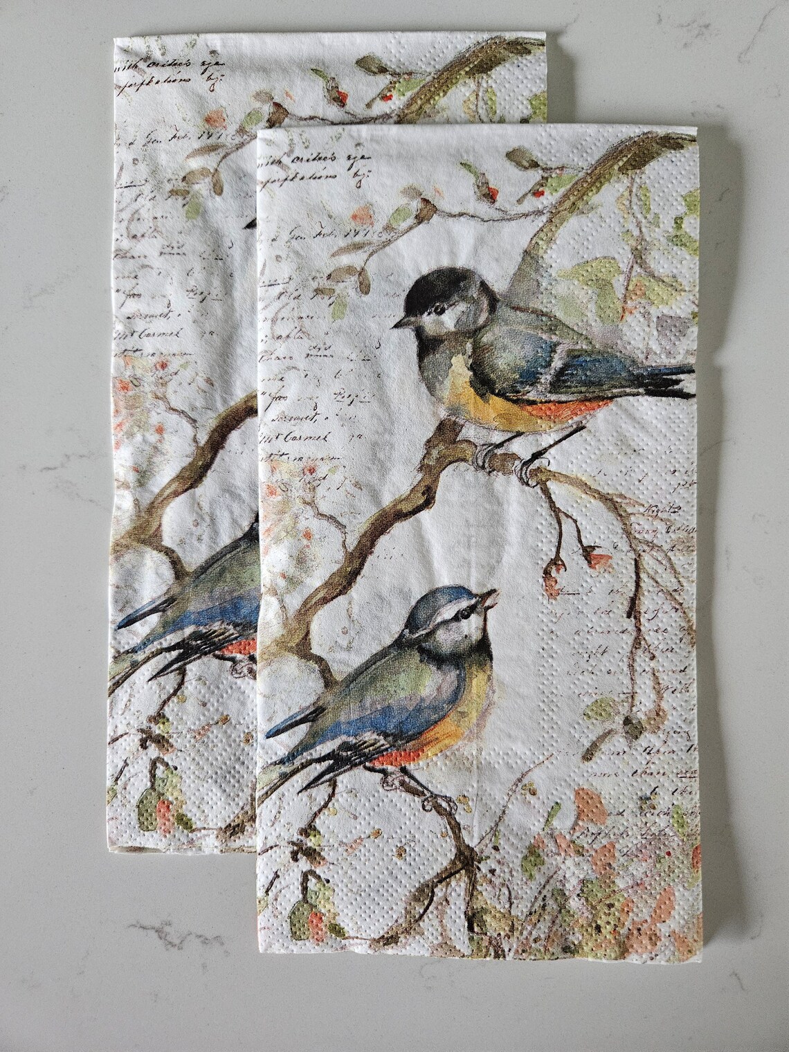 Happy Little Birds COCKTAIL or GUEST TOWEL Size Paper Napkin - Set of 2 ...