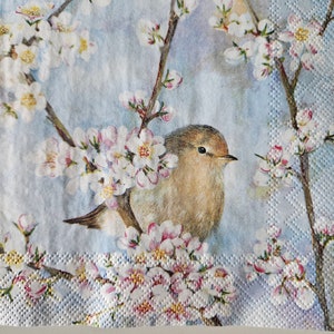 Bird Harmony DECOUPAGE Napkin - Set of 2 Individual Napkins - COCKTAIL ...