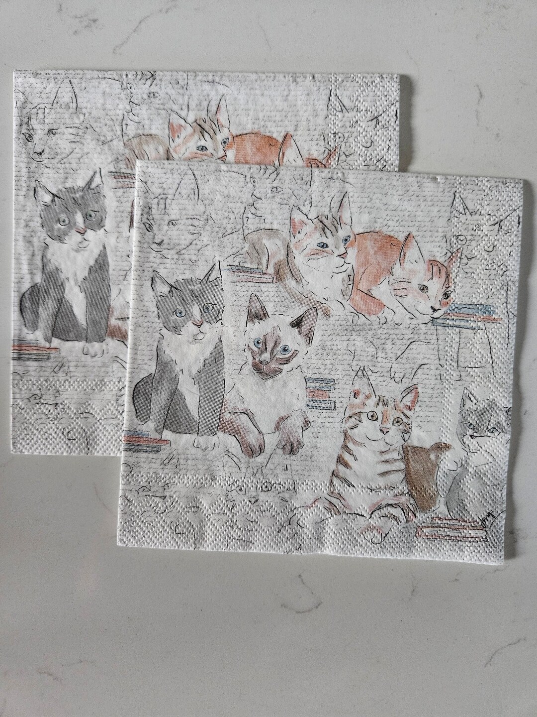 Library Cats DECOUPAGE Napkin - Set of 2 Individual Napkins - COCKTAIL ...