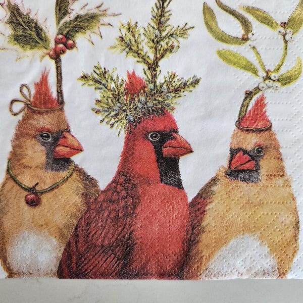 Bird Napkins - Etsy