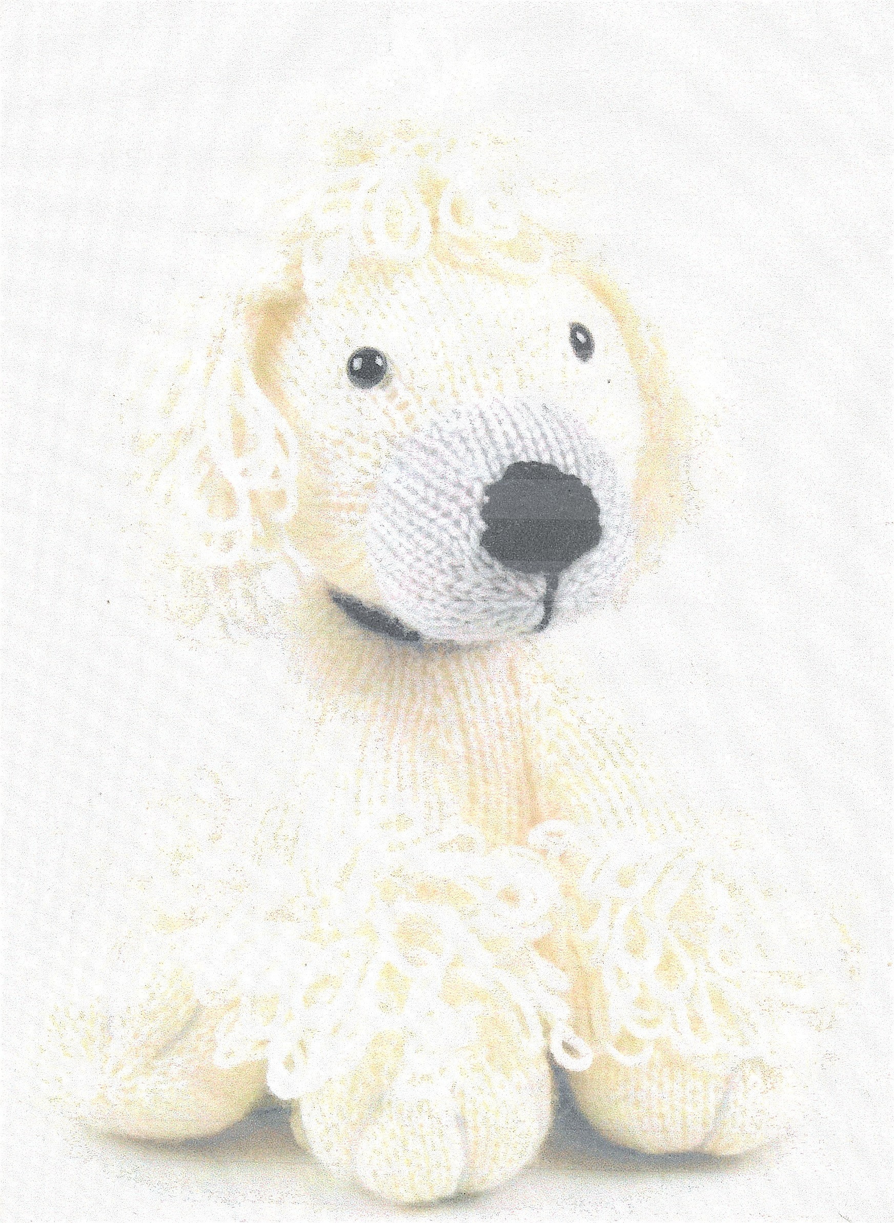 Poodle Puppy Knitting Pattern Toy Dog - Etsy