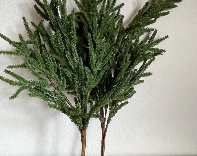 Set of 2 Realistic Christmas Winter Norfolk Pine Wide Fan Short Stems ...