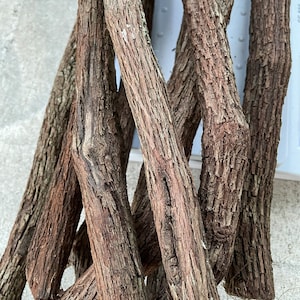 Rustic Thick Grapevine Craft Sticks Supply Wood Planter Spikes ...