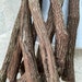 Rustic Thick Grapevine Craft Sticks Supply Wood Planter Spikes ...