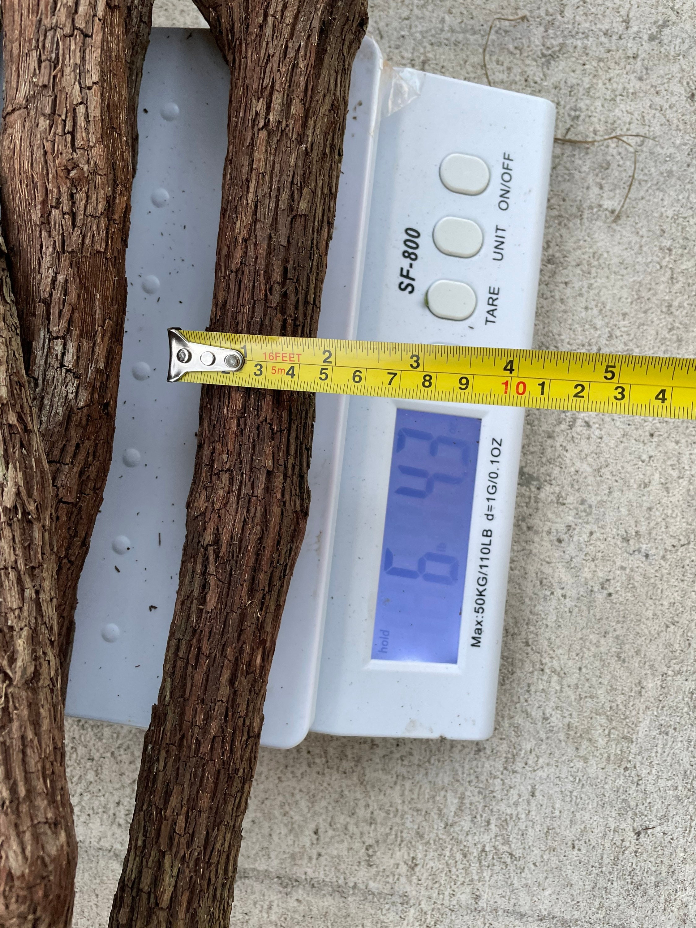 Rustic Thick Grapevine Craft Sticks Supply Wood Rustic Floral - Etsy