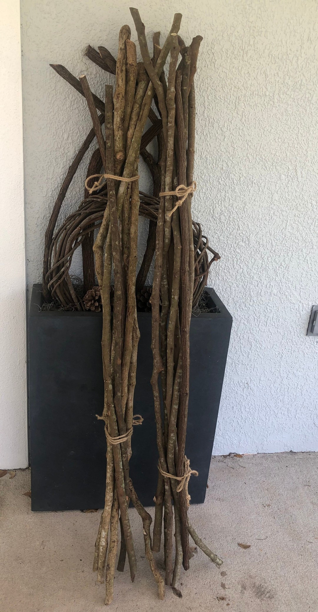 6 Pcs Extra Thick 4ft Old Muscadine Grapevine Sticks Stalks Craft Wood ...