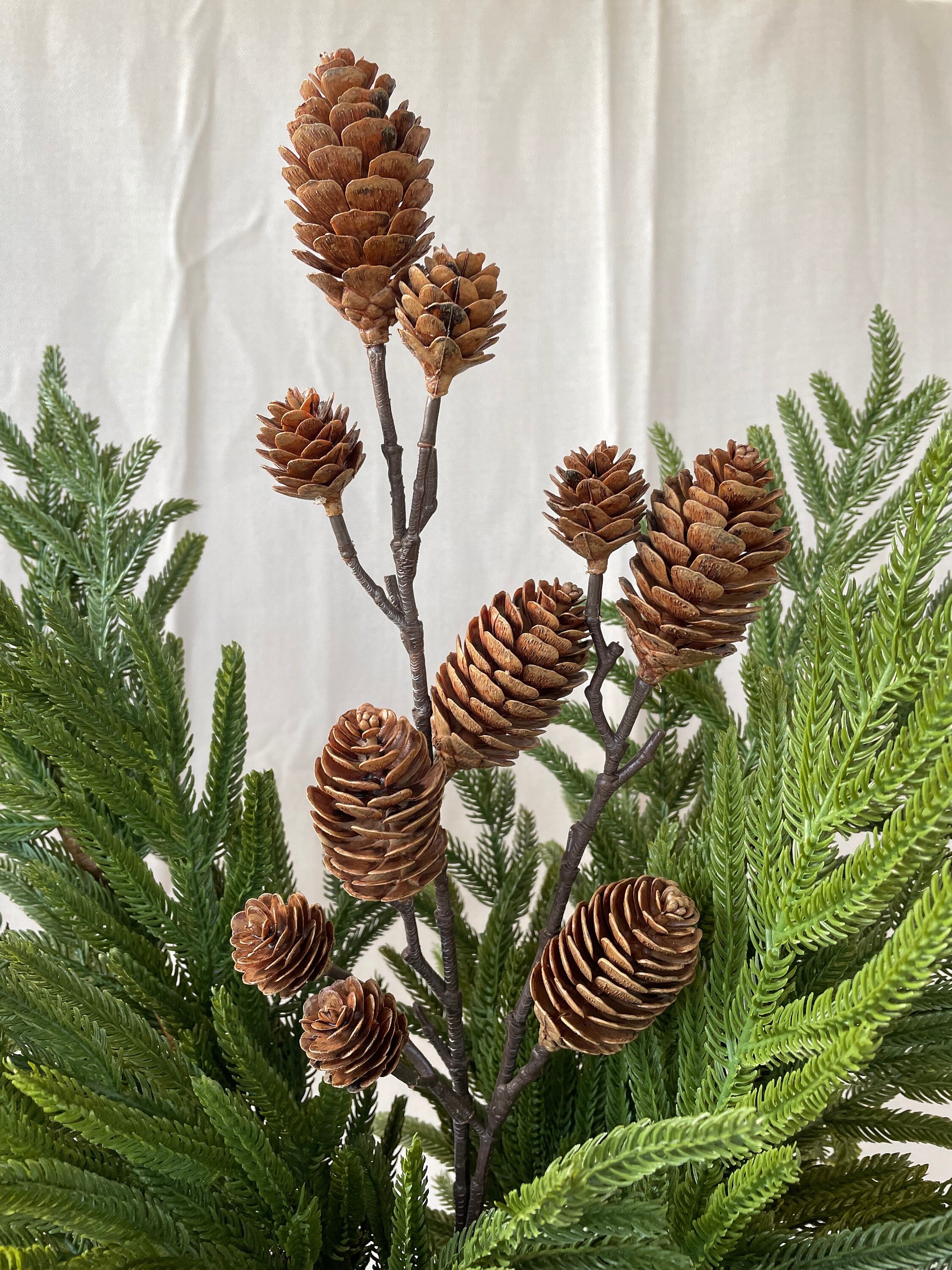 Norfolk Pine Christmas Greenery Gift Set With Pinecone Stem - Etsy