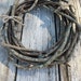 Rustic Thick Grapevine Craft Sticks Supply Wood Planter Spikes ...