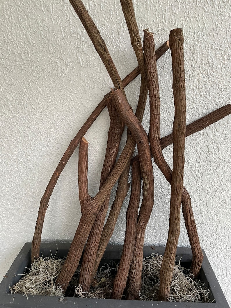 Rustic Thick Grapevine Craft Sticks Supply Wood Rustic Floral - Etsy