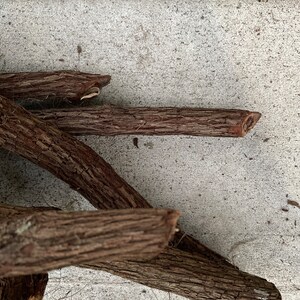 Rustic Thick Grapevine Craft Sticks Supply Wood Planter Spikes ...