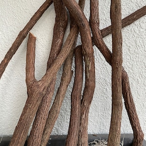 Rustic Thick Grapevine Craft Sticks Supply Wood Planter Spikes ...