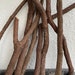Rustic Thick Grapevine Craft Sticks Supply Wood Planter Spikes ...