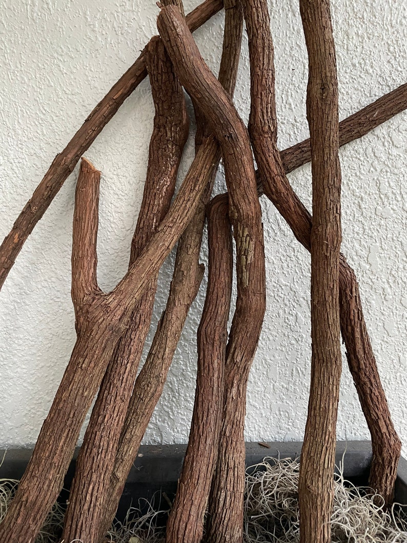 Rustic Thick Grapevine Craft Sticks Supply Wood Rustic Floral - Etsy