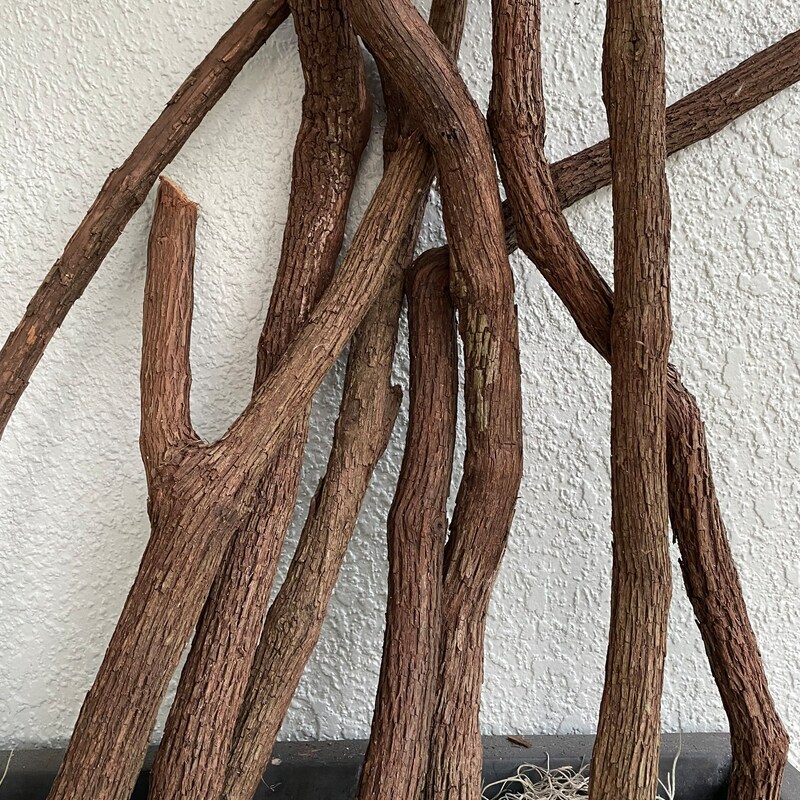 Grapevine Planter - Etsy