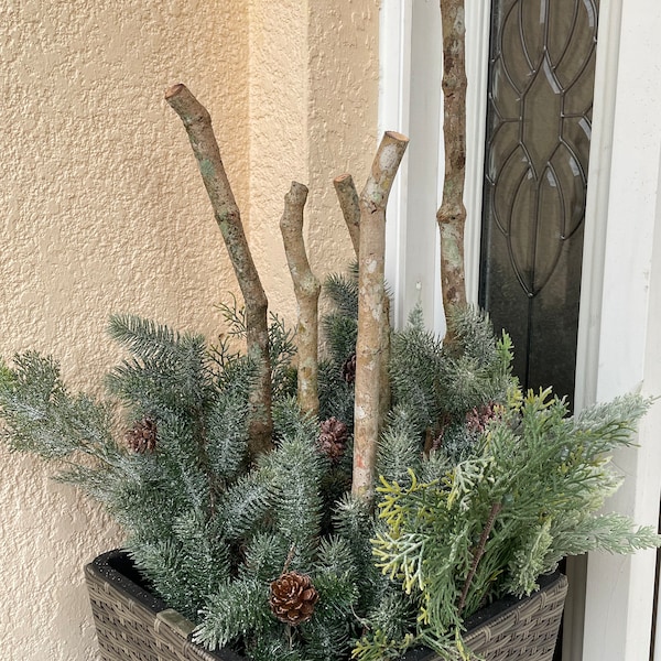 Grapevine Planter - Etsy