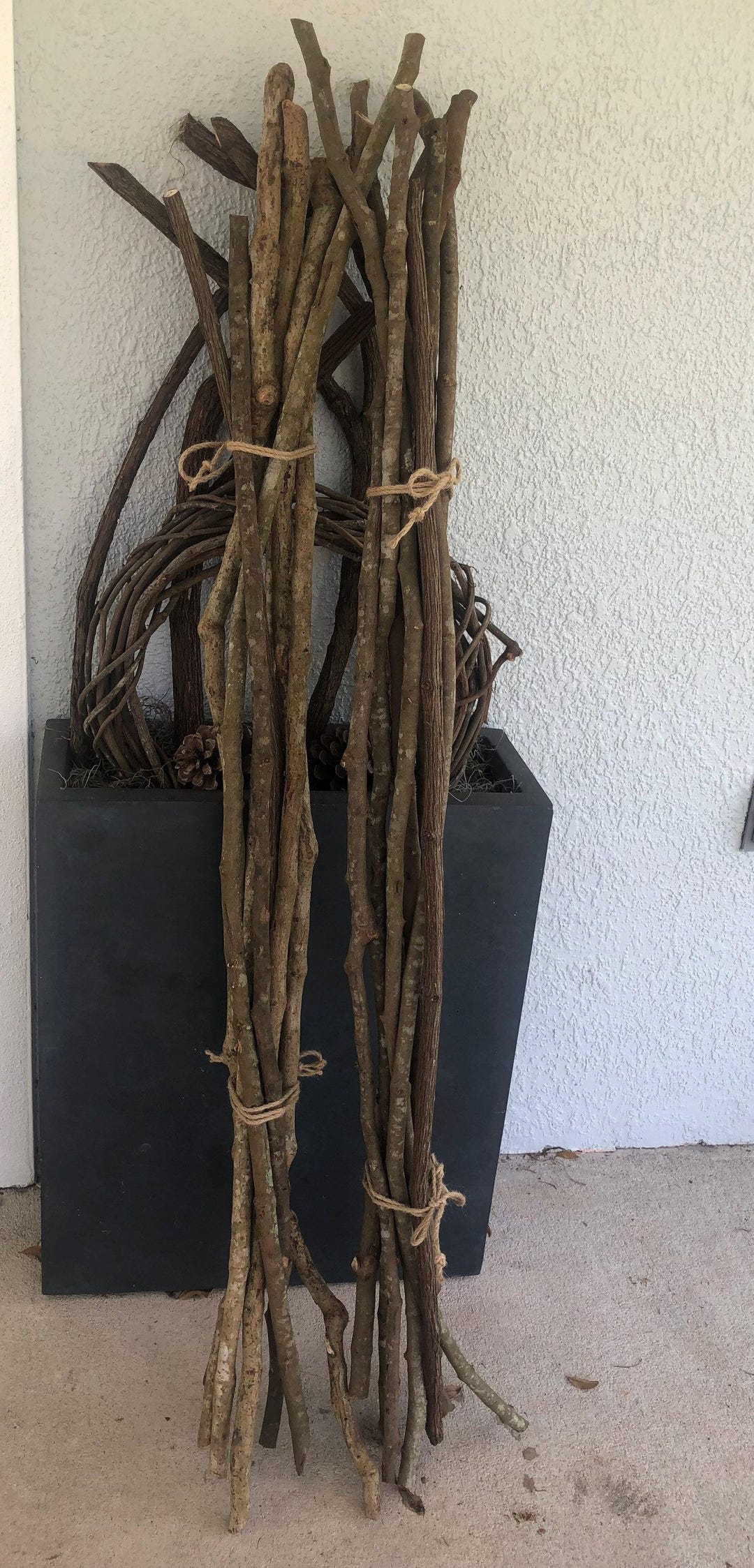 6 Pcs Thick 47" Muscadine Grapevine Sticks Stalks Craft Wood Rustic ...