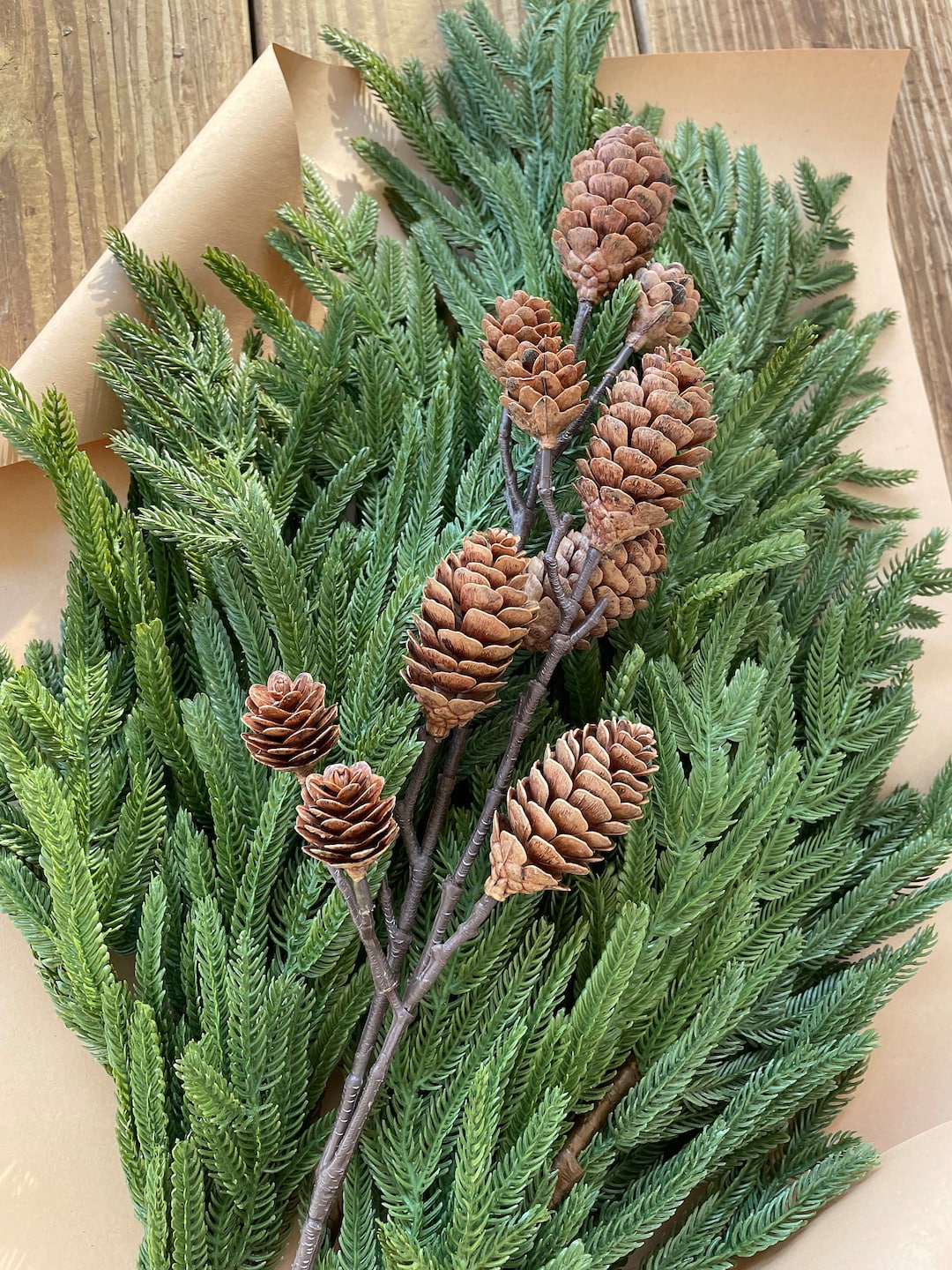 Pre-order Gift Set of 4-31 Real Touch Christmas Norfolk Pine Stems & 1 ...