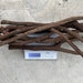 Rustic Thick Grapevine Craft Sticks Supply Wood Planter Spikes ...