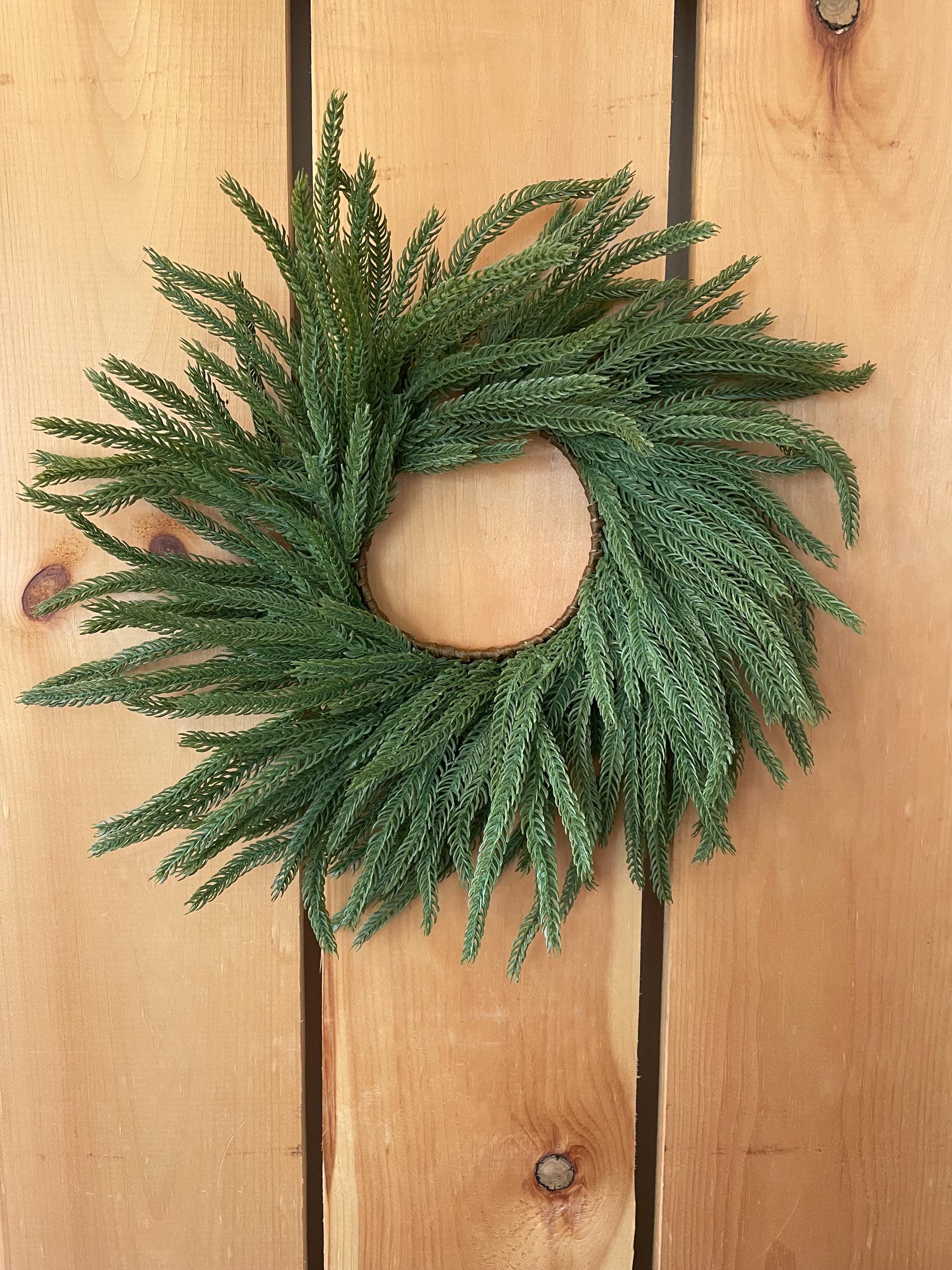 16" Mini Wreath Realistic Real Touch Norfolk Pine Round Candle Ring ...