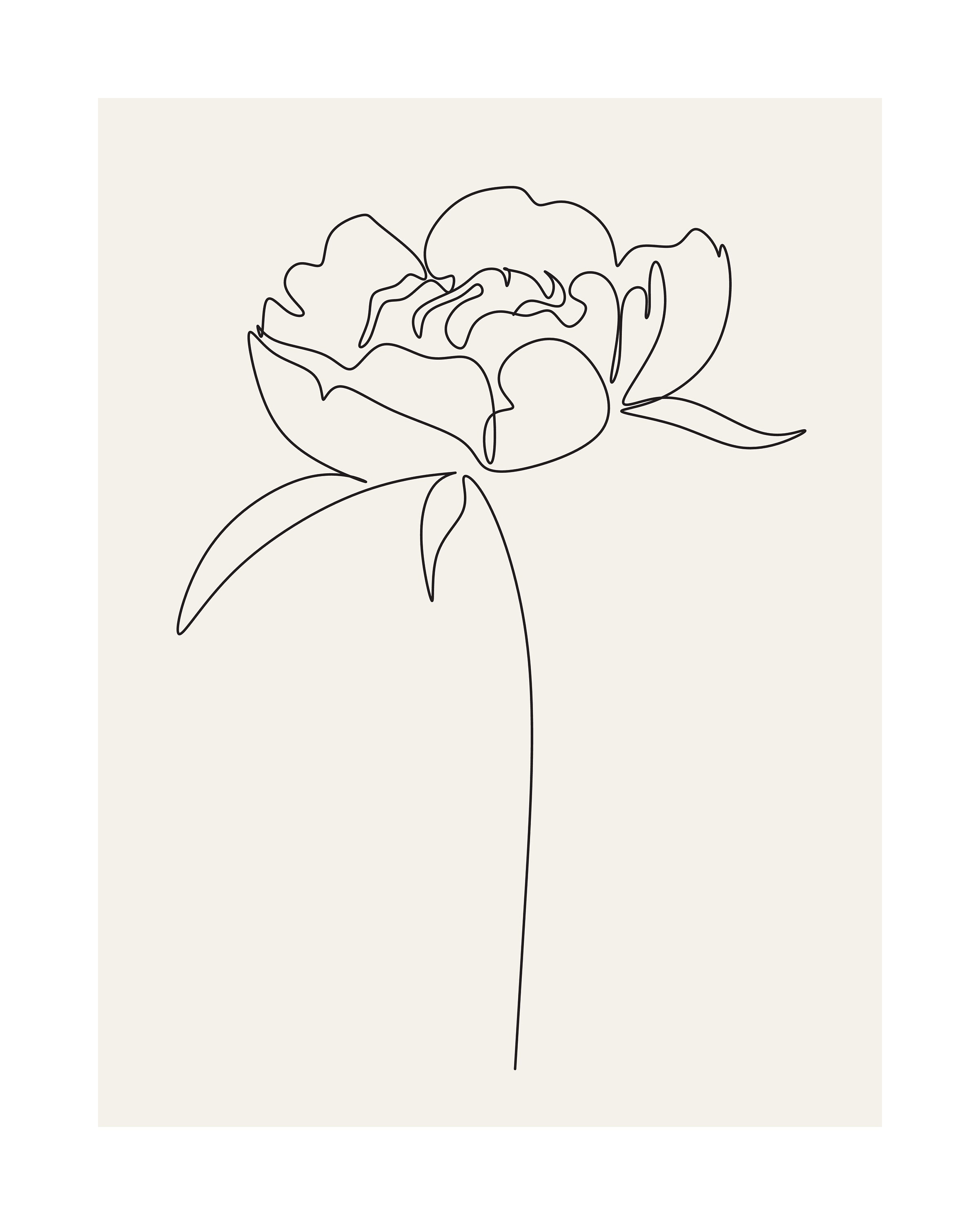 Flower Line Art - Digital Print - Etsy